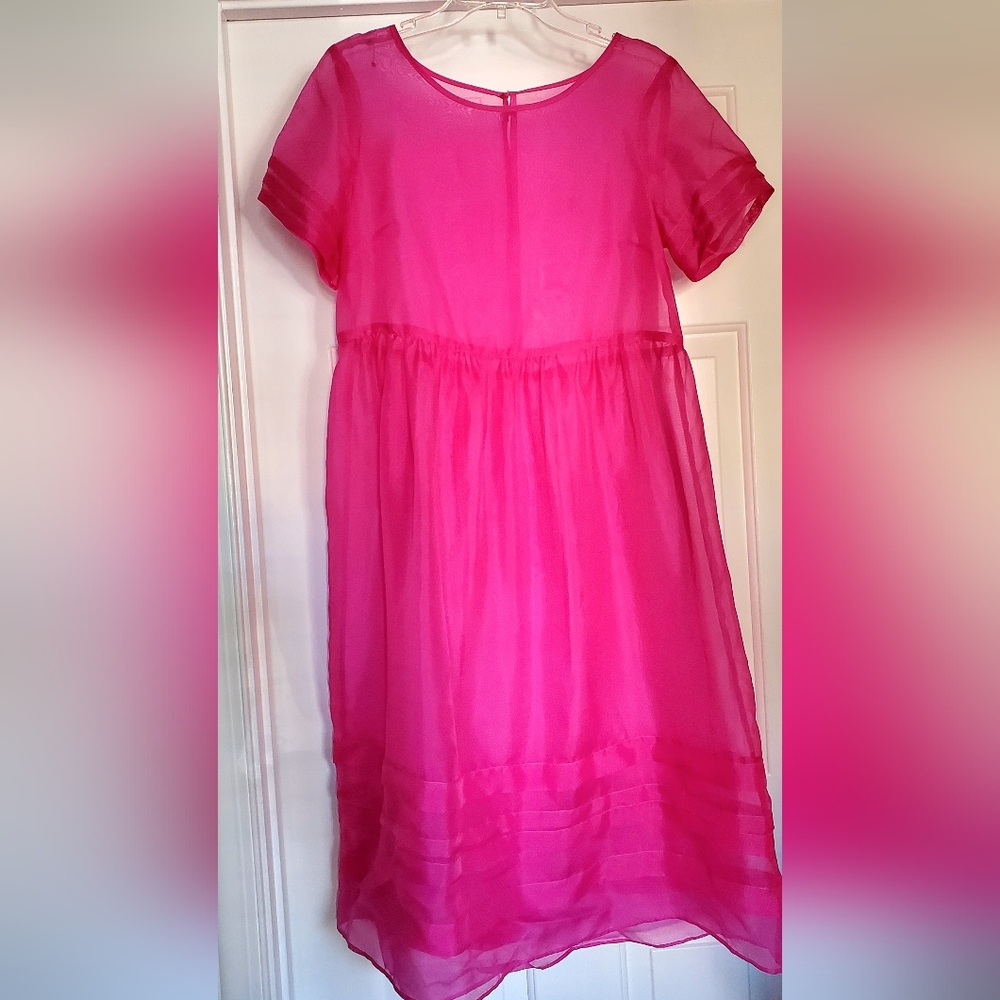Anthropologie Sheer Hot Pink See Through Dress - Gem